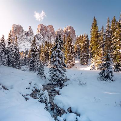 Snow Mountain Forest Sunshine South Tyrol - KDE Store