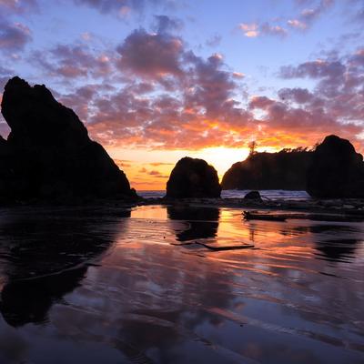 Coast Beach Sunset Rock Olympic National Park .. - KDE Store