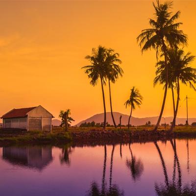 Summer Tropical Island Village Lake Palm 5K - KDE Store