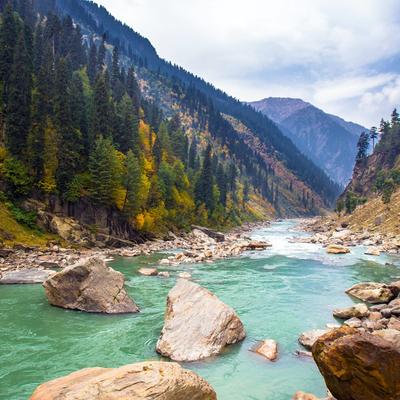 Canyon River Stones 2022 Primeval Forest 5K Ph - KDE Store