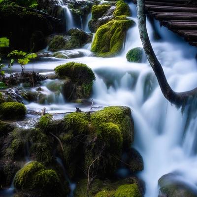 Forest Park Spring River 2022 Croatia 5K Photo - KDE Store