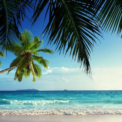 Emerald Lake - KDE Store