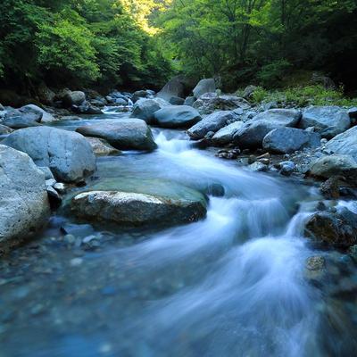 Green forest river rocks morning - KDE Store