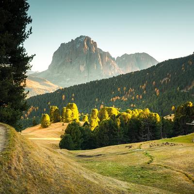 Italy jungle beautiful autumn sunset 4K Ultra .. - KDE Store