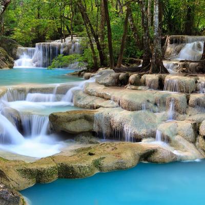 Forest trees stream waterfall rocks 4k Landsca.. - KDE Store