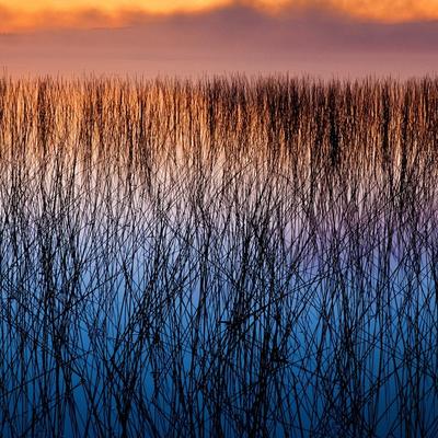 The Headwaters Wilderness in Wisconsin 2017 Bi.. - KDE Store