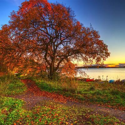 autumn scenery - KDE Store