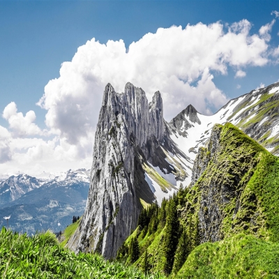 Summer Grass Rock Snow Mountain Switzerland - KDE Store