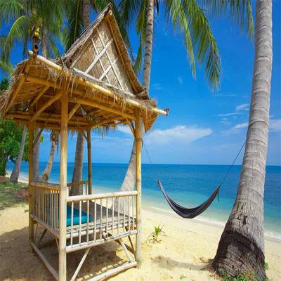 Bungalow beach - KDE Store