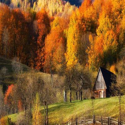 Fall nature - KDE Store