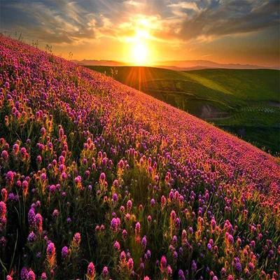 Landscape sunset - KDE Store