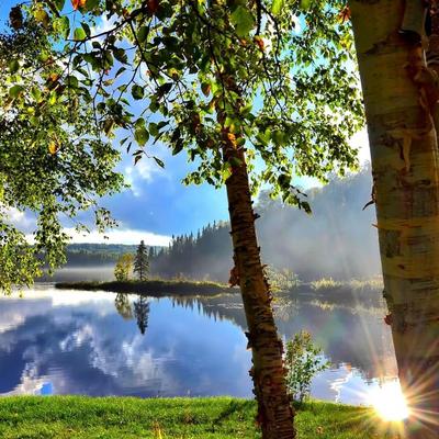 River Wallpaper - KDE Store