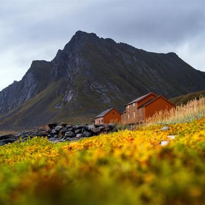 Mountains Meadows Wooden Houses Lofoten Norway 5k - KDE Store