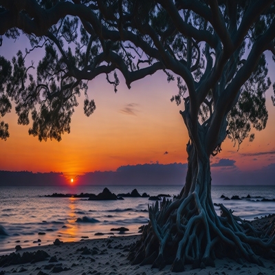 sea sunrise - KDE Store