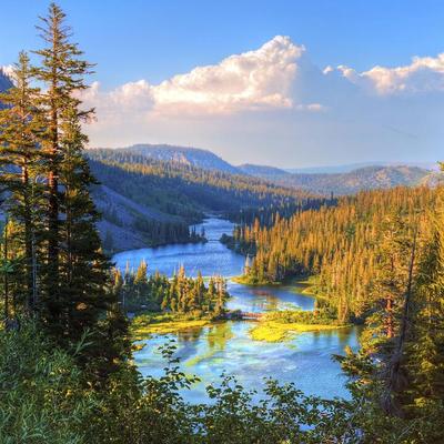 A river in the mountains through the branches of the trees - KDE Store