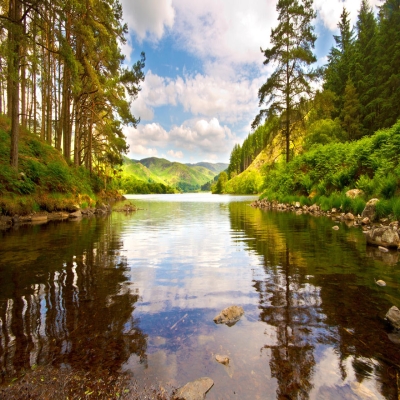 River bank with trees - KDE Store