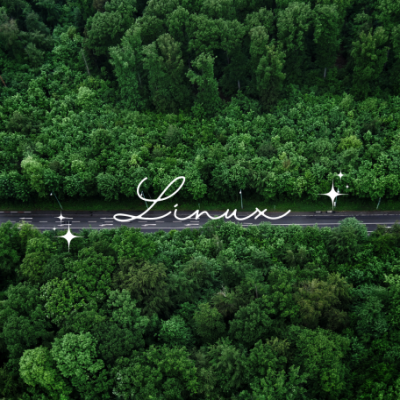 Linux - Road through the forest - KDE Store