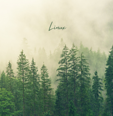 Linux - Green forest - KDE Store