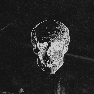 Black and white skull - KDE Store