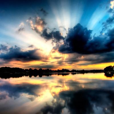 Nature HD wallpaper Tree / Wood/ Leaves /Nature - KDE Store