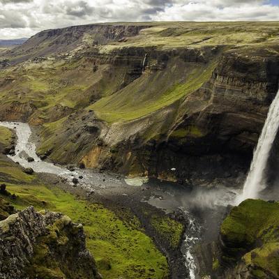 Green Grass Wallpaper - Pling Artwork