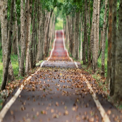 Nature Landscape High Quality HD - KDE Store