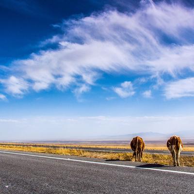 Outdoor self driving grassland blue sky - KDE Store