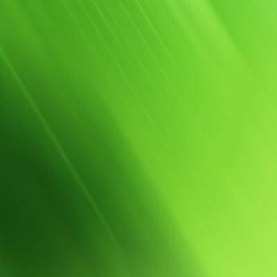 Green abstract gradient line-Design Desktop - KDE Store