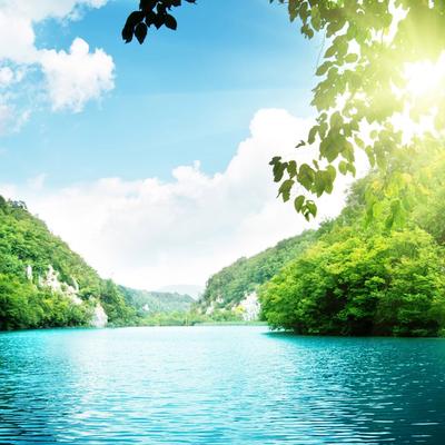 Summer Tropical Island Forest Lake Sunshine 5K - KDE Store