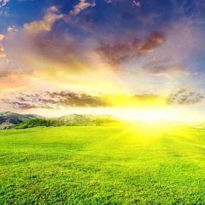 Green Grass Field Under Blue Sky and White Clouds During Day - KDE Store