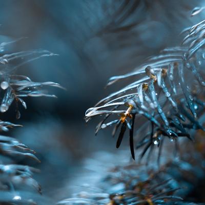 Freezing Full HD - KDE Store