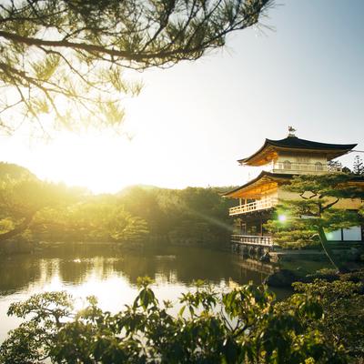 yodo-in Temple - KDE Store