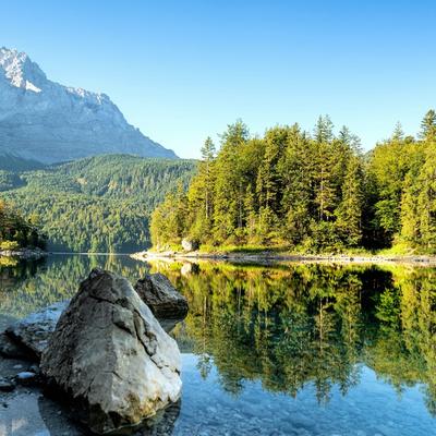 Summer Jungle Rock Eibsee Grainau Germany 5K - KDE Store