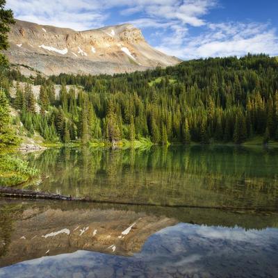 Beautiful Nature Wallpaper - KDE Store