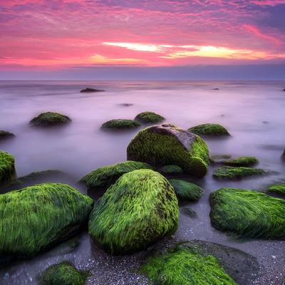 an Sunset Beach Rocks Seaweed - KDE Store