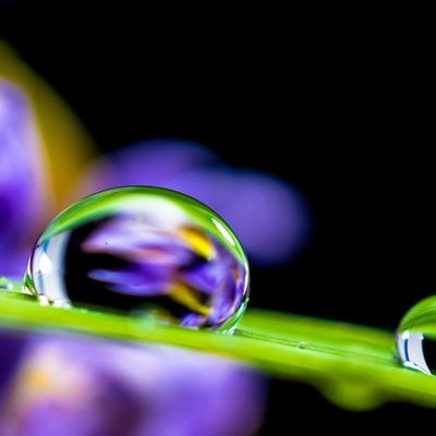 Water Drops Wallpaper - KDE Store