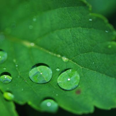 Water Drops Wallpaper - KDE Store