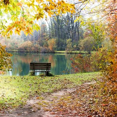 Autumn Season Wallpaper - KDE Store