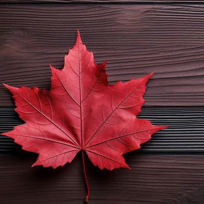 Red Leaf Wallpaper - KDE Store