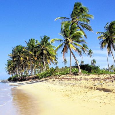 Beach Wallpaper - KDE Store