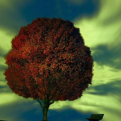 Tree Wallpaper - KDE Store