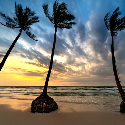 Sunset Wallpaper - KDE Store