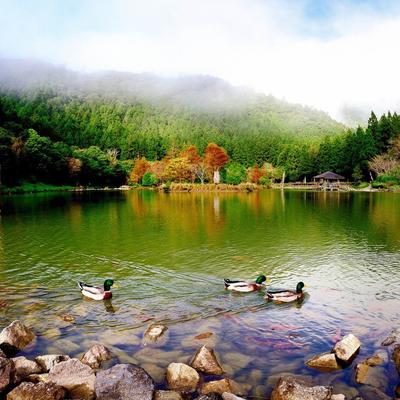 Scenic Nature - KDE Store