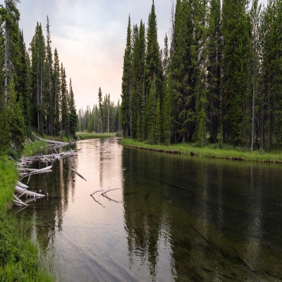 Spring river forest - KDE Store