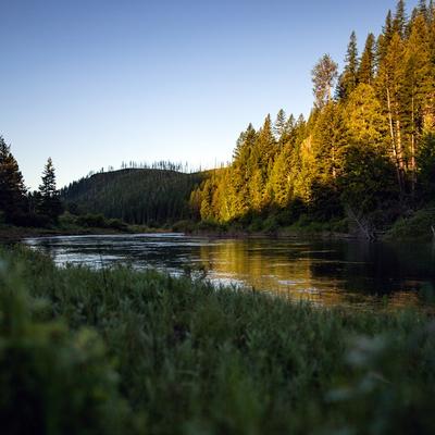 Forest River 2021 Summer Morning 5K Photo - KDE Store