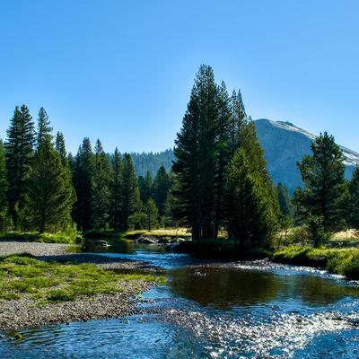 Summer River Tuolumne Meadows California - KDE Store