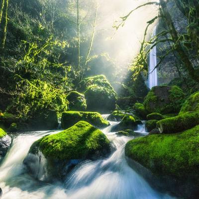 Stream Wallpaper - KDE Store