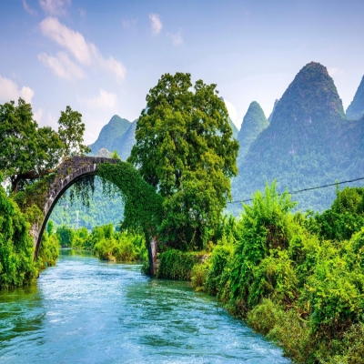 Green Trees Near Body of Water During Daytime Wallpaper - KDE Store