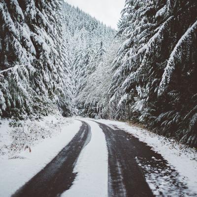 Snow Covered Road Between Trees Wallpaper - KDE Store