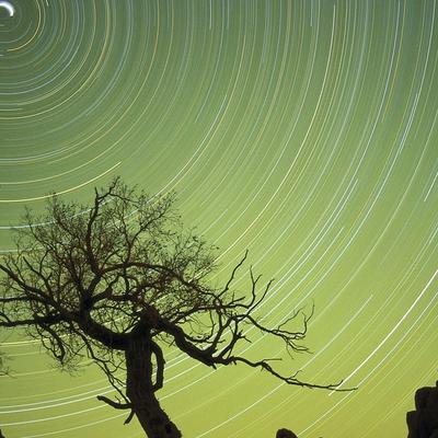 43 Mongolia-the track star wallpaper - KDE Store